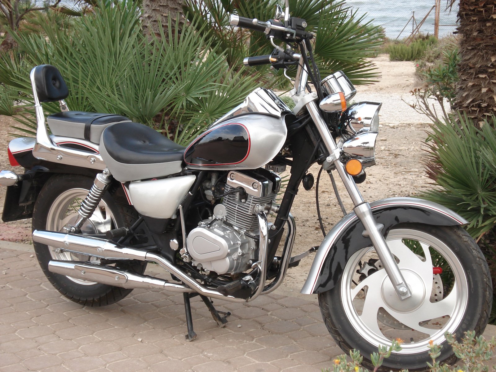 Happy Thanksgiving From Sell My Motorcycle Online!